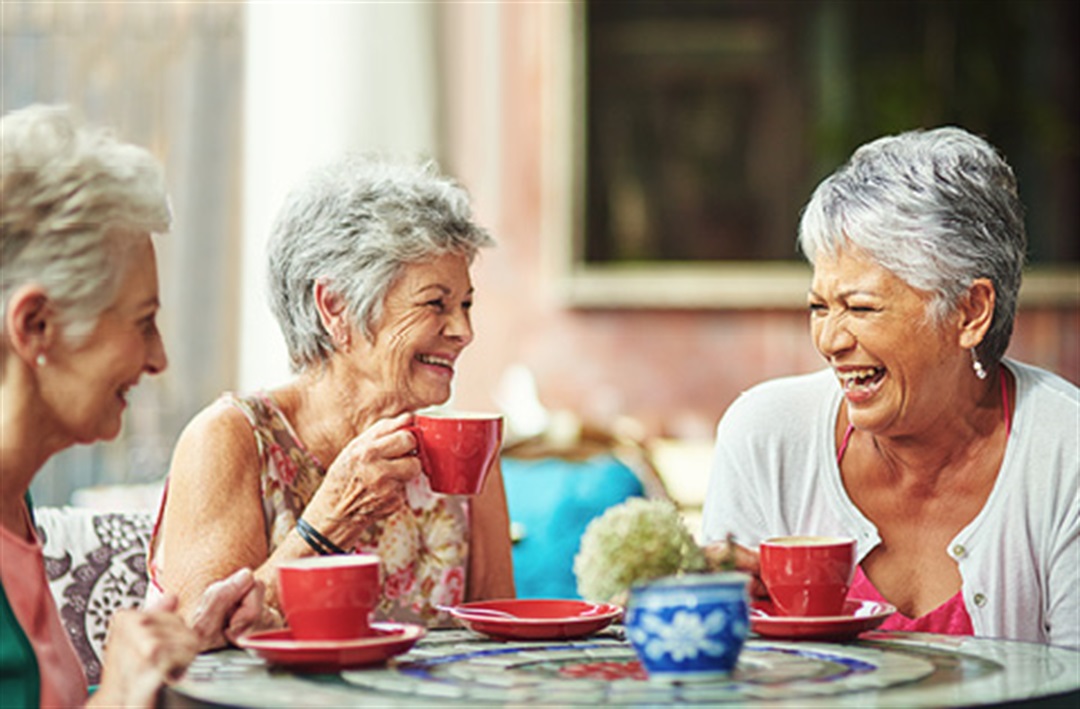 Sip, Chat, Connect - City of Kingston