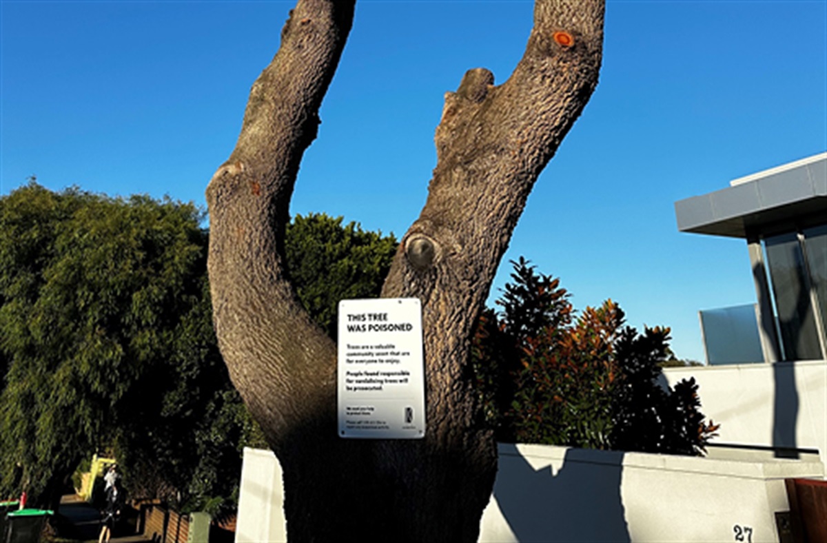 Anger Over Tree Vandalism | Mirage News