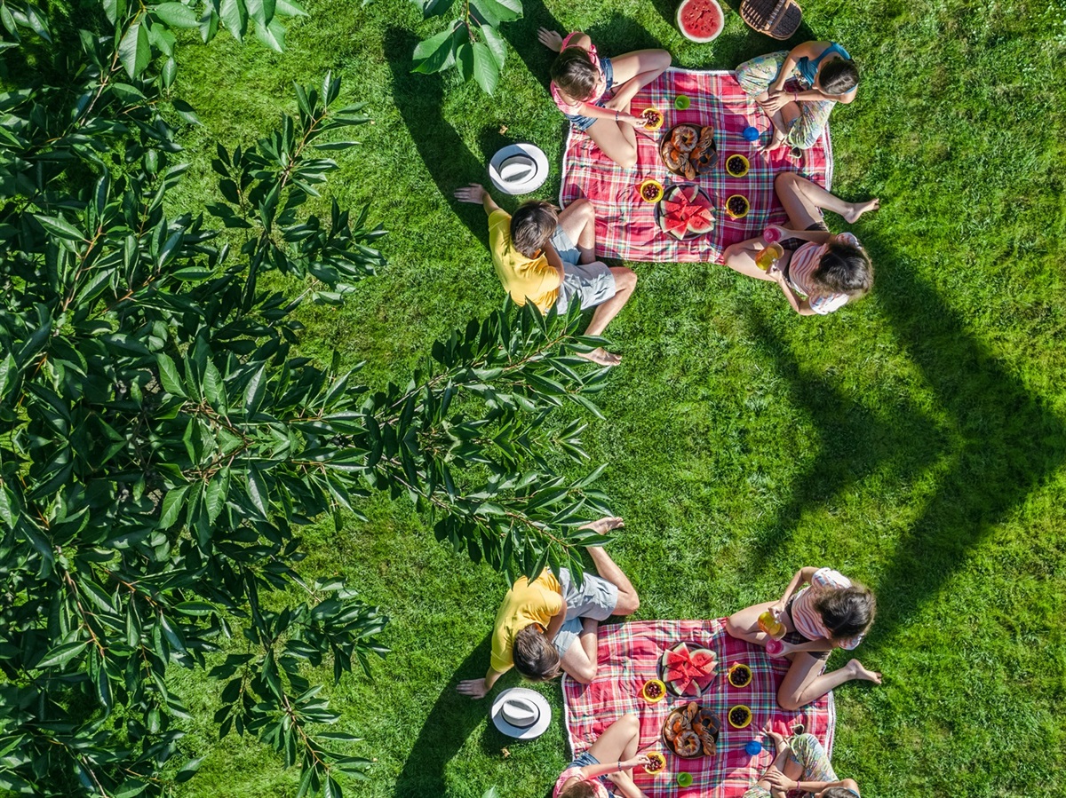 community background - City of Kingston